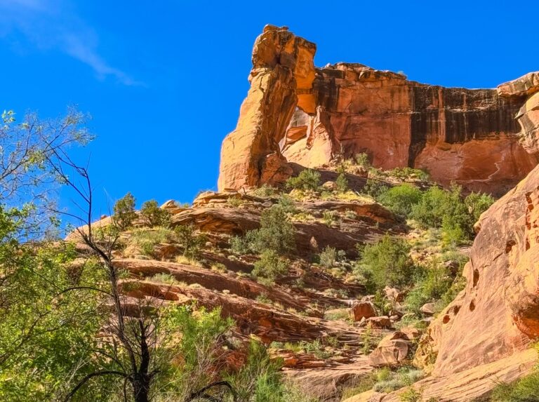 Arches National Park and Moab, Utah: Dog-friendly guide – Pupper Scouts