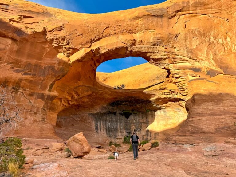 Arches National Park and Moab, Utah: Dog-friendly guide – Pupper Scouts