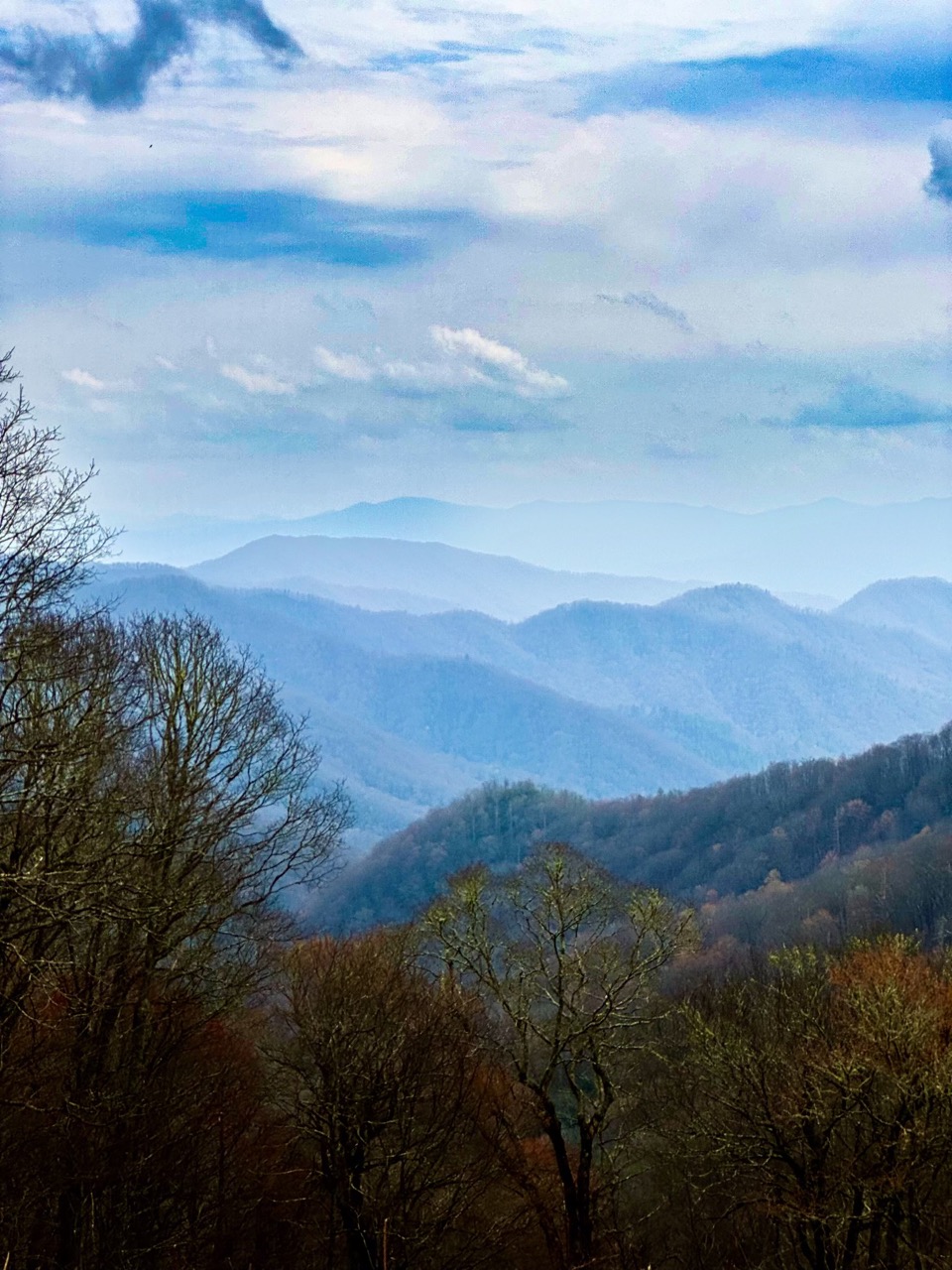 Guide to visiting (nearly) any National Park with your dog – Pupper Scouts
